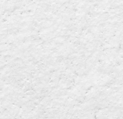 White wall background. A high resolution photograph – The Print Shop